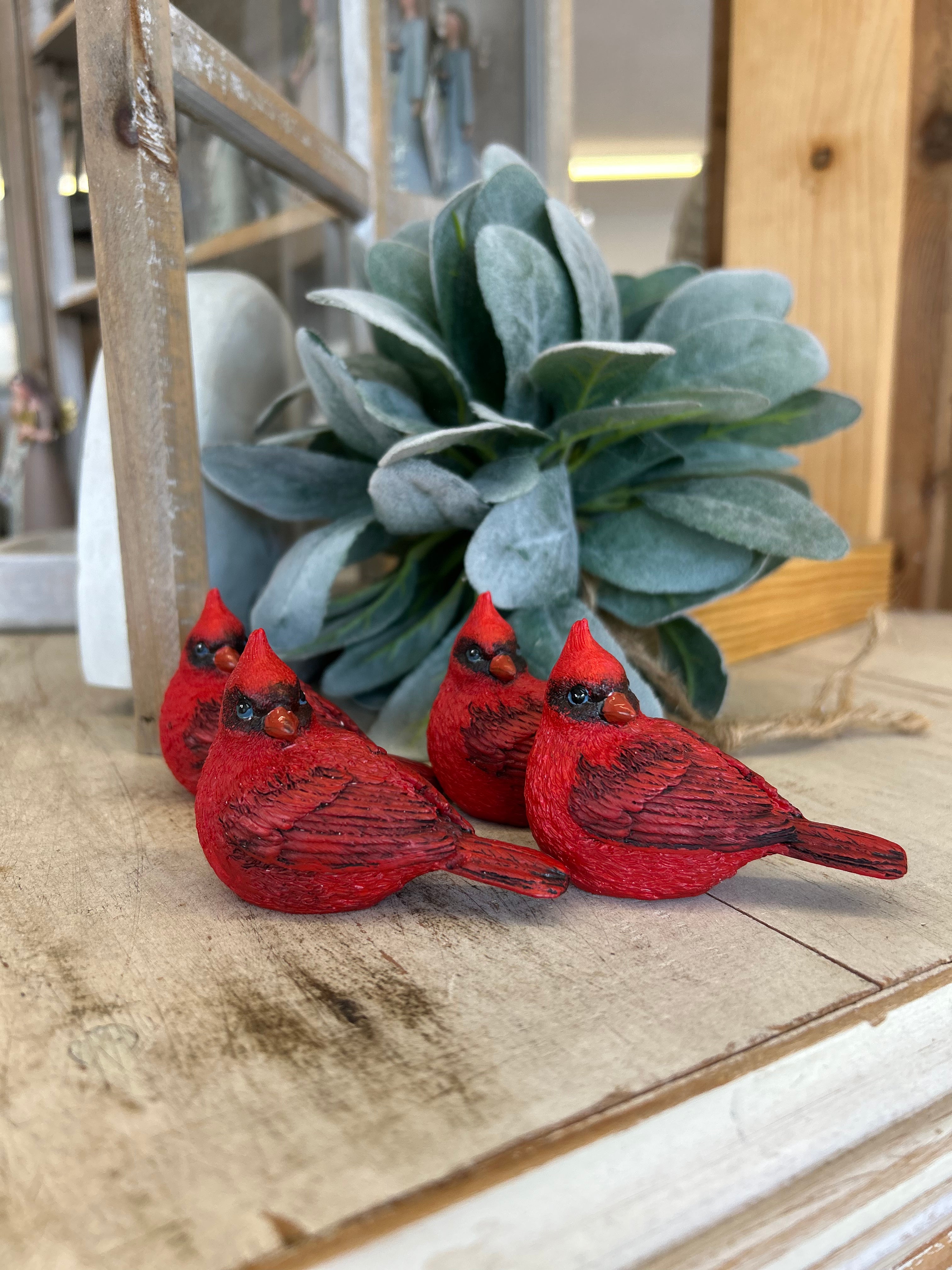 Cardinal Collection – Saved By Grace Christian Boutique